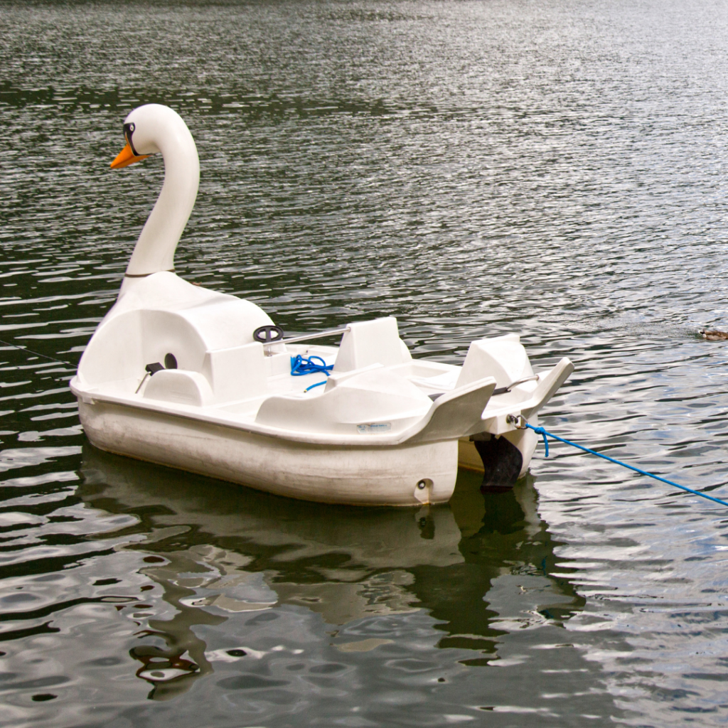 Swan Pedalos | Liverpool Watersports Centre